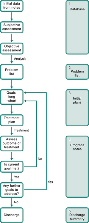 Assessment and investigation of patients’ problems | Thoracic Key
