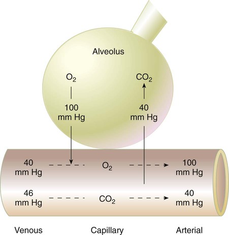 Pulmonary Gas Exchange And Transport