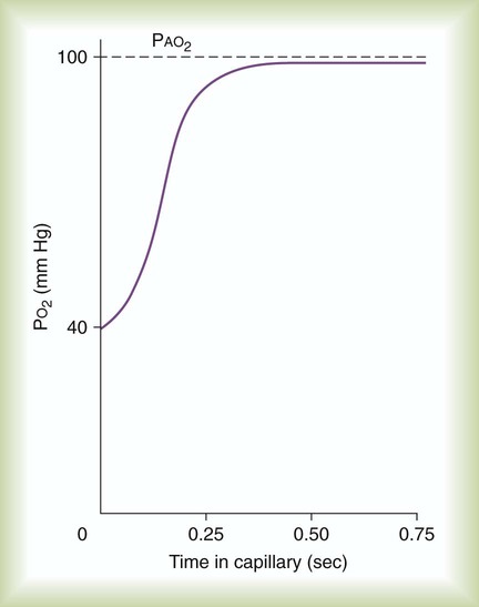 Gas Exchange and Transport | Thoracic Key