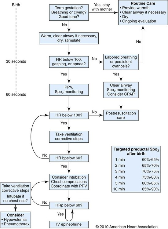 Neonatal and Pediatric Respiratory Care | Thoracic Key