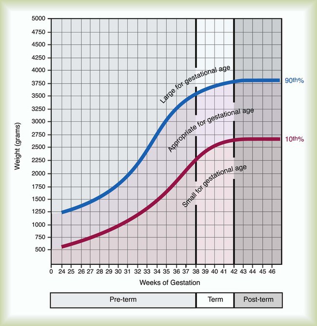 Neonatal and Pediatric Respiratory Care | Thoracic Key