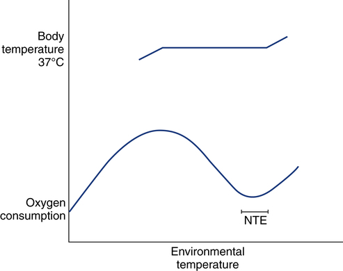Neonatal and Pediatric Assessment | Thoracic Key
