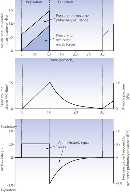 Respiratory support and artificial ventilation | Thoracic Key