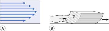 AIRFLOW IN THE RESPIRATORY SYSTEM | Thoracic Key