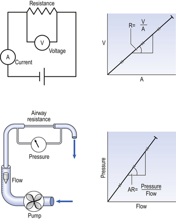 AIRFLOW IN THE RESPIRATORY SYSTEM | Thoracic Key