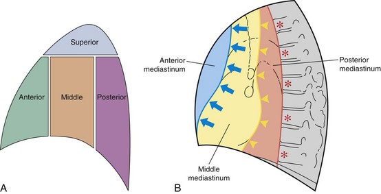 Imaging Techniques | Thoracic Key