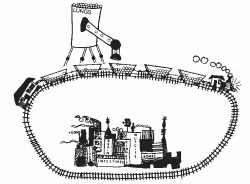 Blood Flow Measurement: Cardiac Output and Vascular Resistance ...