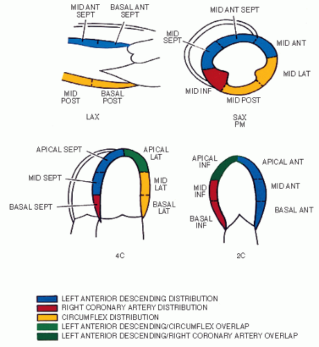Stress Echocardiography | Thoracic Key