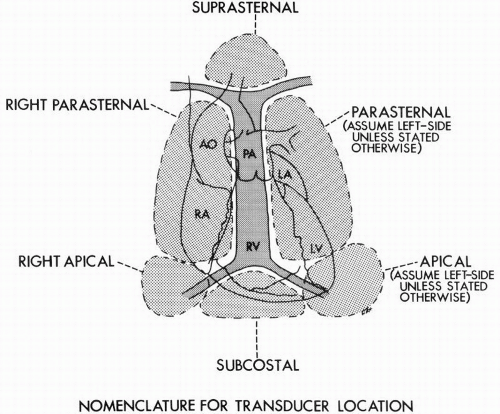 The Echocardiographic Examination | Thoracic Key