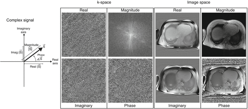 k-Space | Thoracic Key