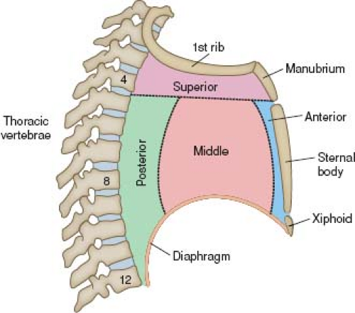 Cardiac Anatomy and Examination of Cardiac Specimens | Thoracic Key