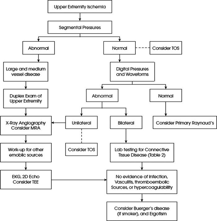 Buergers Disease Thoracic Key