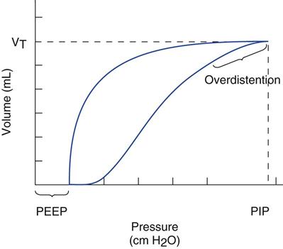 Effects of Positive-Pressure Ventilation on the Pulmonary System ...