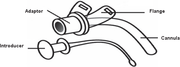 Blunt and Penetrating Injuries | Thoracic Key