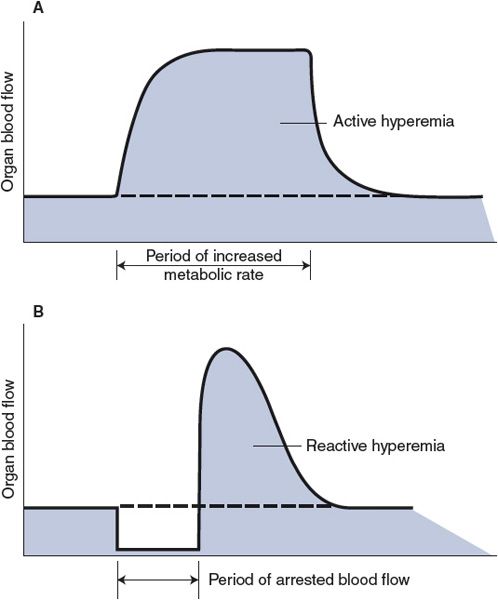 Vascular Control | Thoracic Key