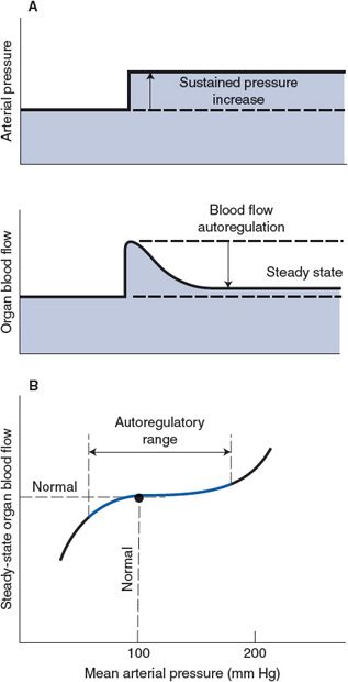 Vascular Control | Thoracic Key