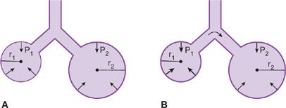 Pulmonary Mechanics | Thoracic Key