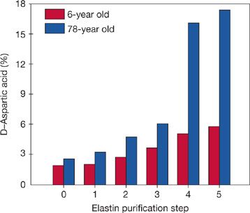 Aging of the Respiratory System | Thoracic Key