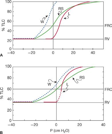 Aging of the Respiratory System | Thoracic Key