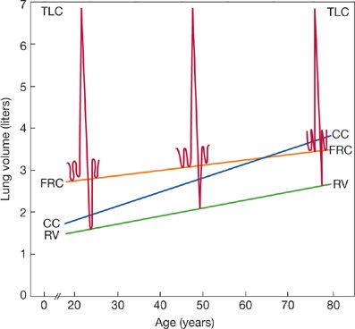 Aging of the Respiratory System | Thoracic Key