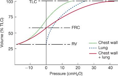 Pulmonary Function Testing | Thoracic Key