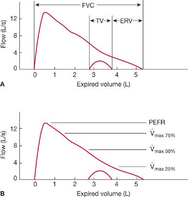 Pulmonary Function Testing | Thoracic Key
