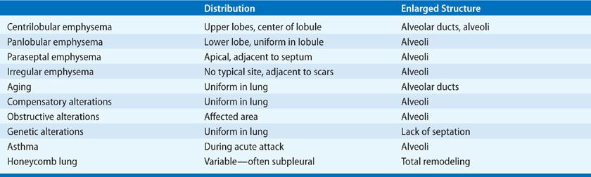 Pathology of Chronic Obstructive Pulmonary Disease: Diagnostic Features ...