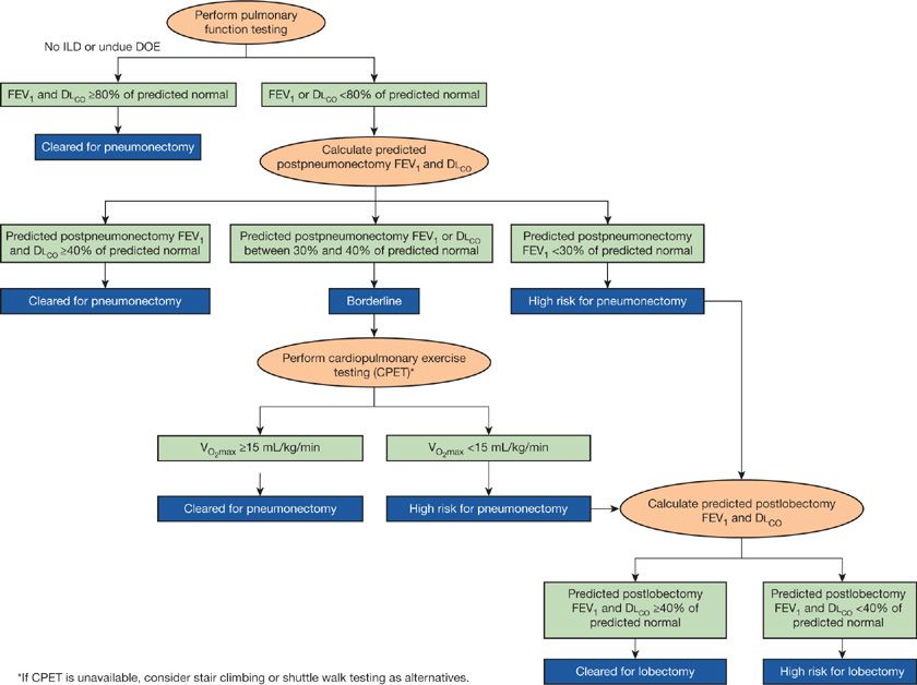 Perioperative Respiratory Considerations In The Surgical Patient