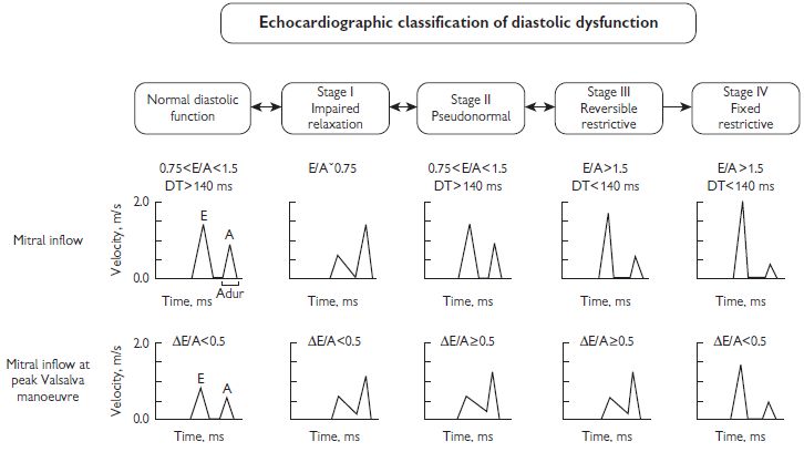 Cardiac investigations | Thoracic Key